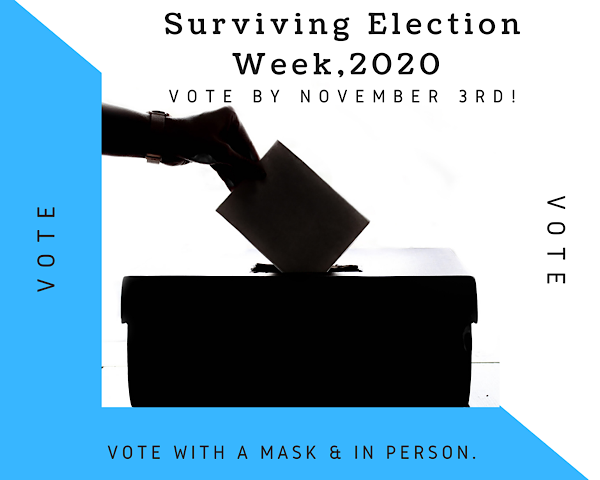 ELECTION WEEK [VOTE BLUE], 2020! - Bella Kate 22
